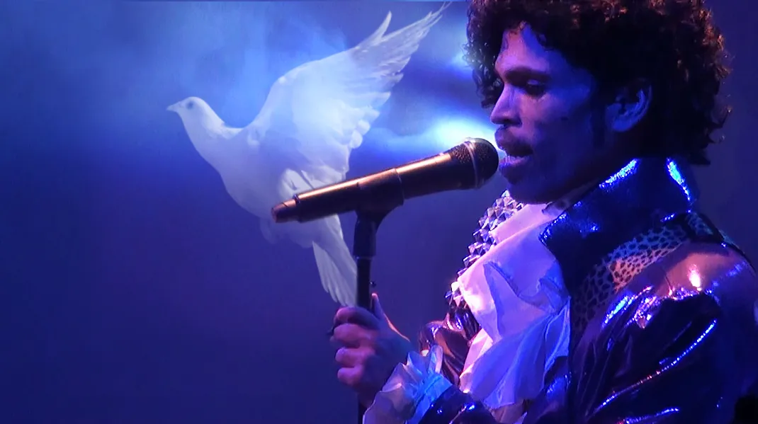 The Prince Project - MZ Tribute Bands