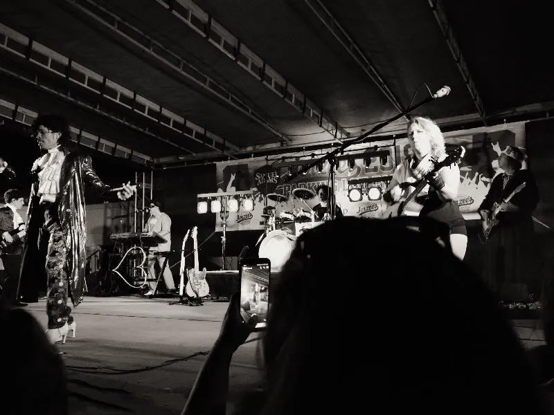 The Prince Project - MZ Tribute Bands