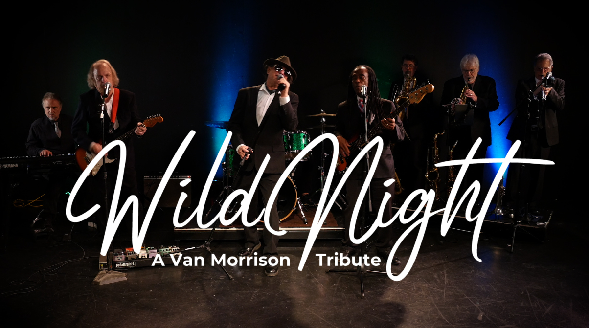 Wild Night - MZ Tribute Bands